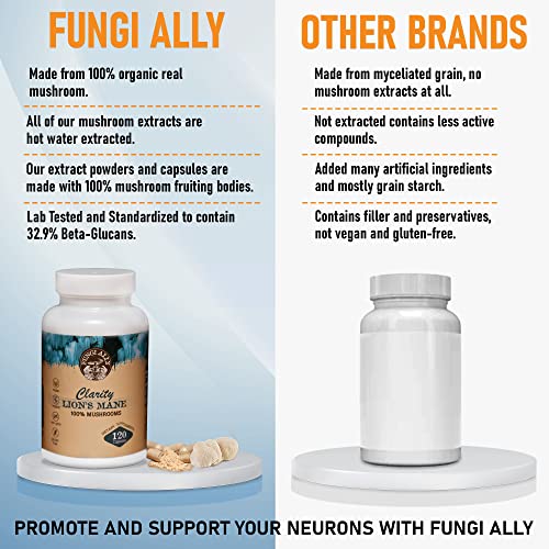 mushroom capsules for daily energy
