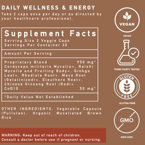 mushroom capsules for daily energy