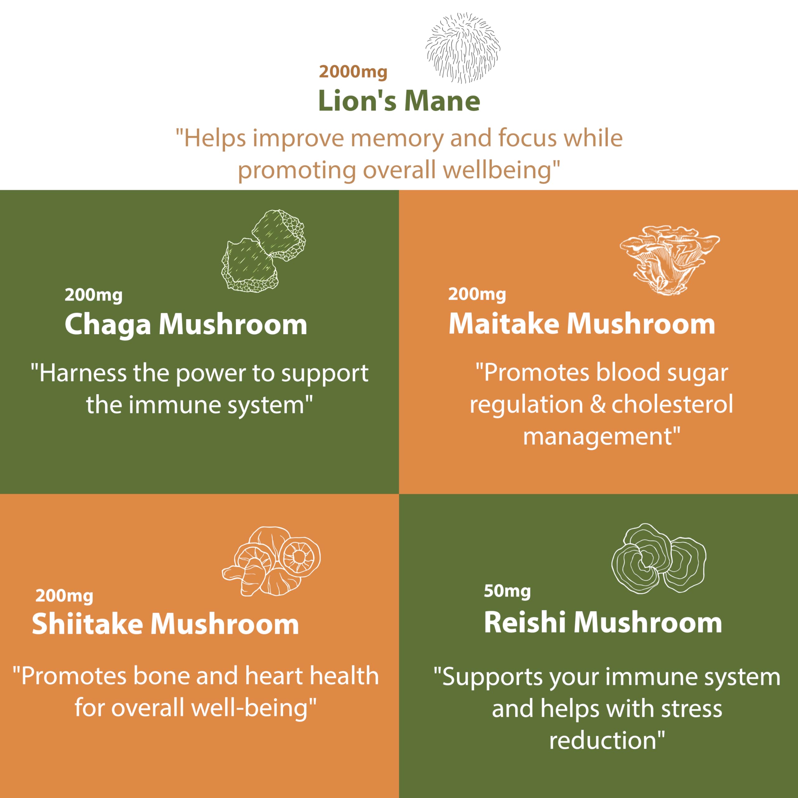 Mushroom capsules for daily energy