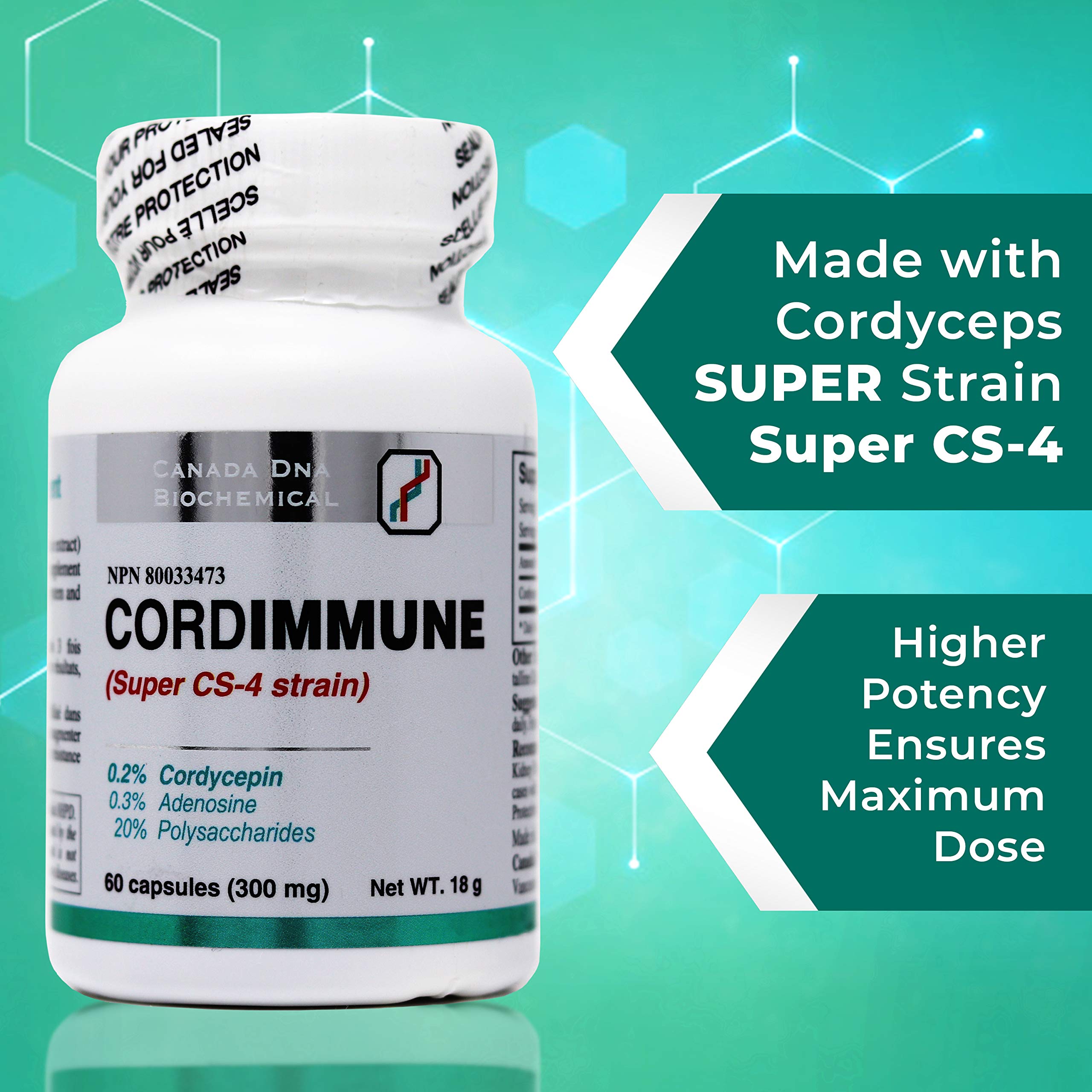 mushroom capsules for daily health