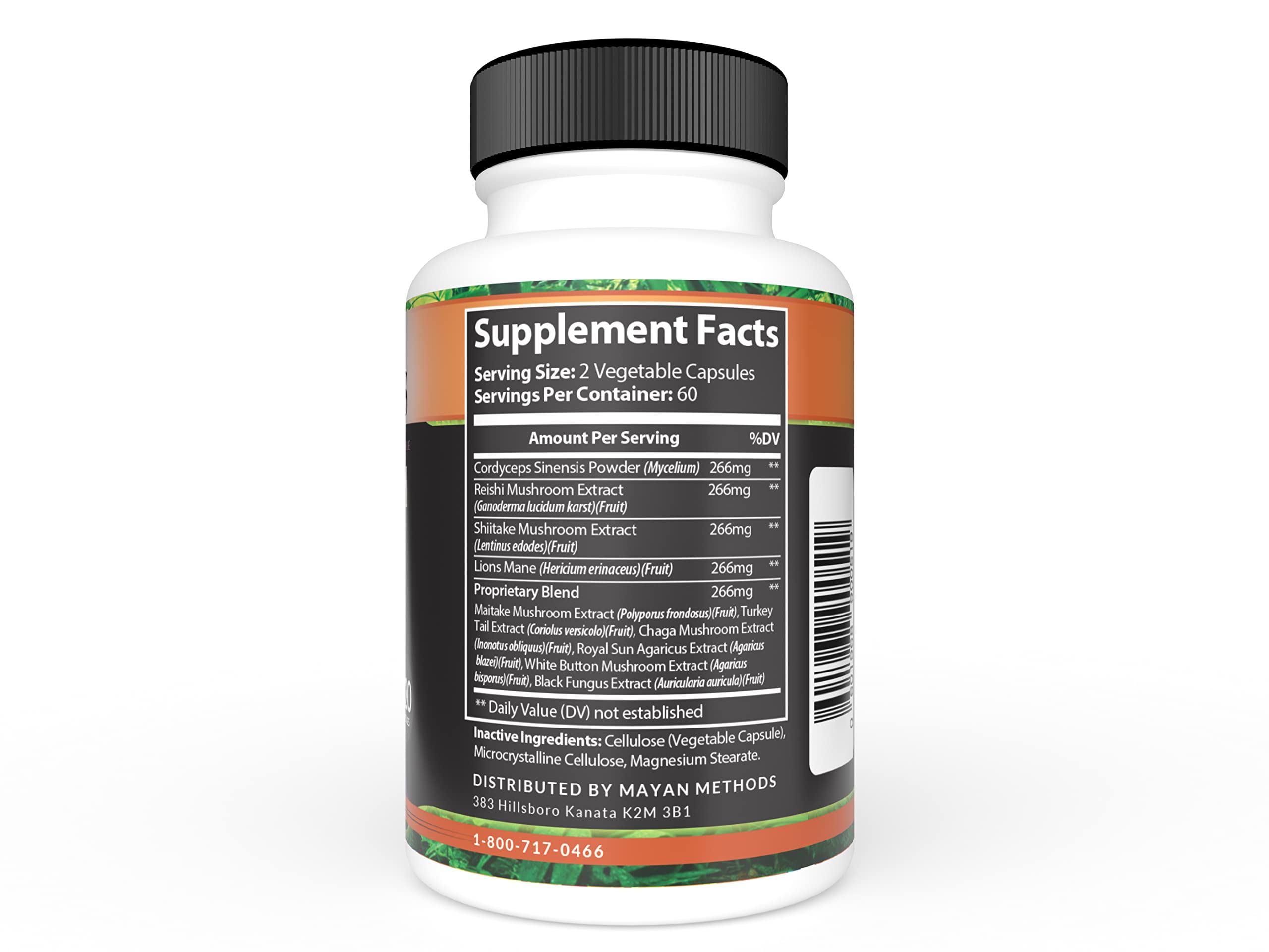 mushroom capsules for daily health
