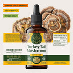mushroom capsules for daily health