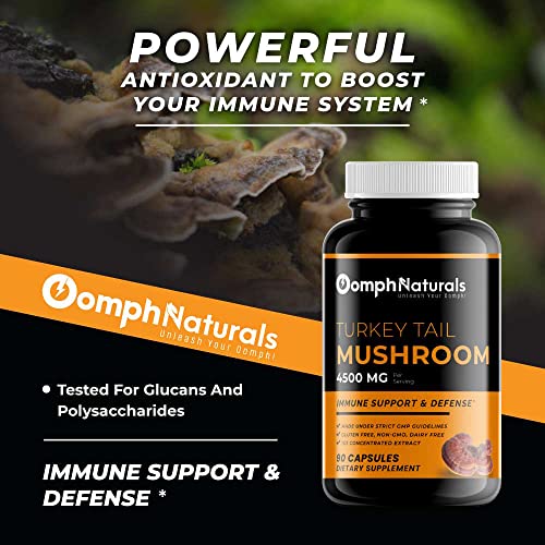 Mushroom capsules for daily nutrition