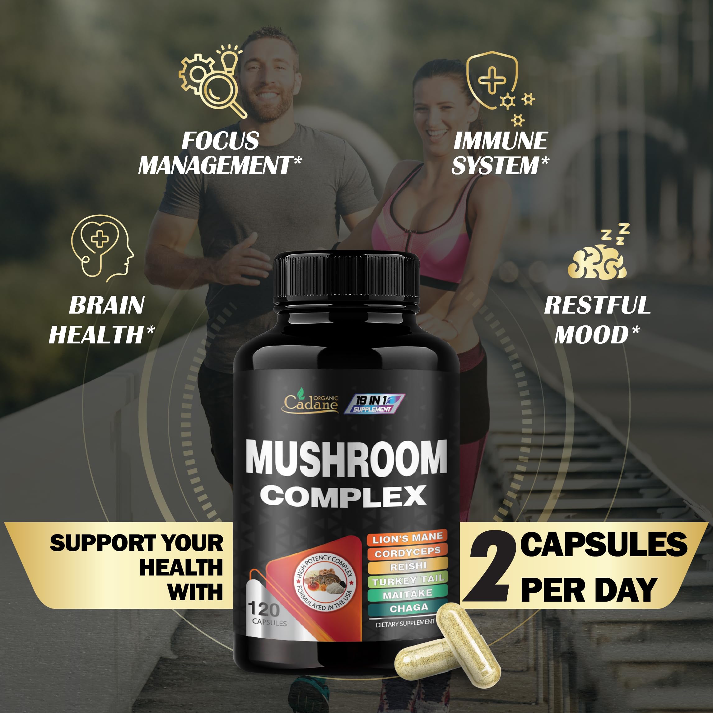 mushroom capsules for daily nutrition