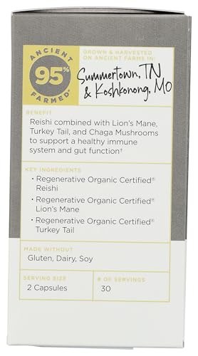 mushroom capsules for daily nutrition