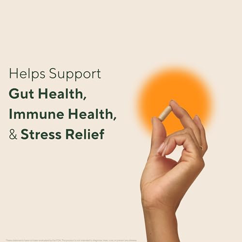 mushroom capsules for daily nutrition