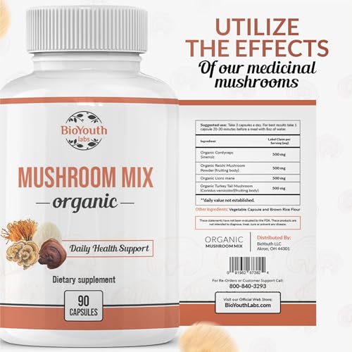 mushroom capsules for daily nutrition