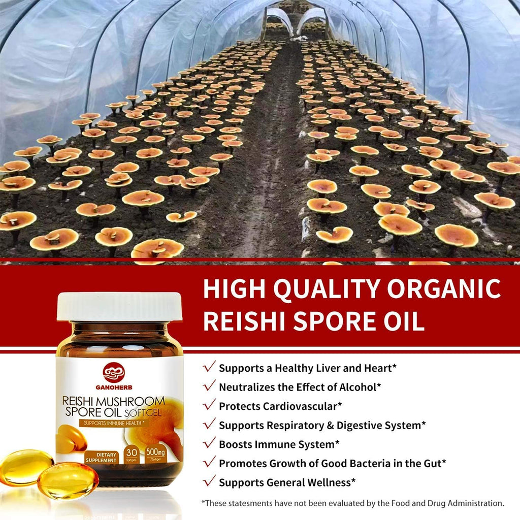 Mushroom capsules for daily nutrition