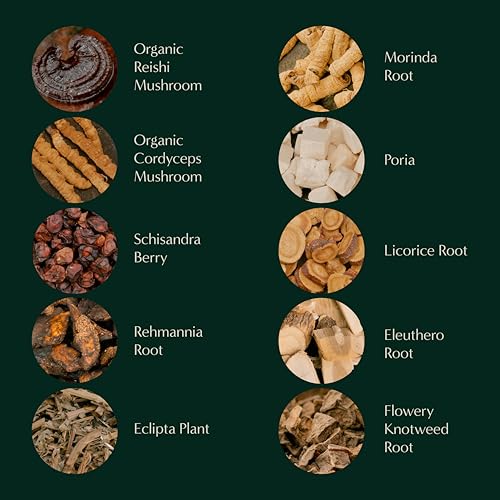 mushroom capsules for daily nutrition