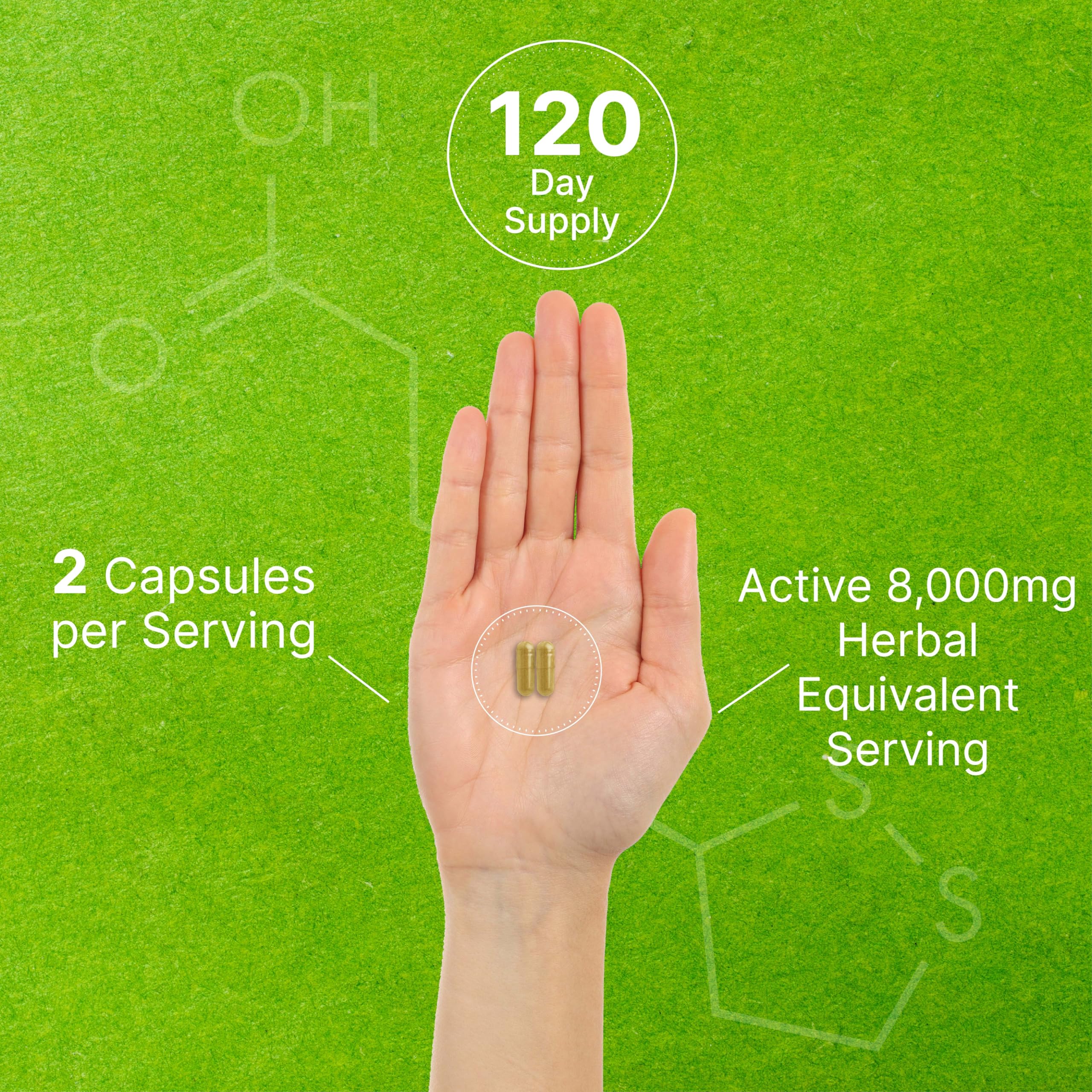mushroom capsules for daily nutrition