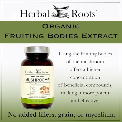 mushroom capsules for daily nutrition