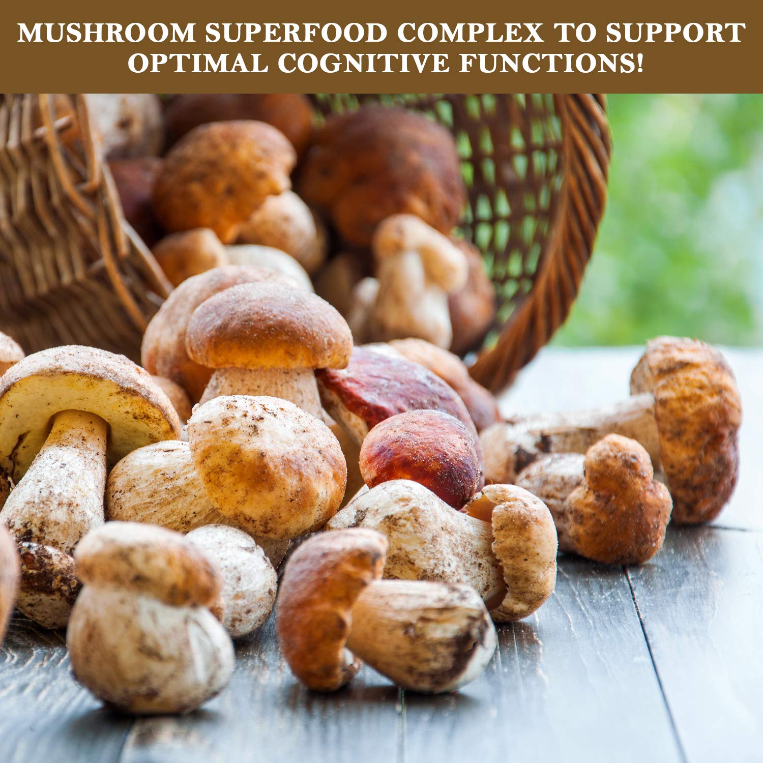 mushroom capsules for daily vitality