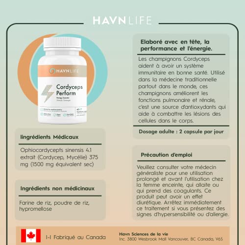 Mushroom capsules for daily vitality