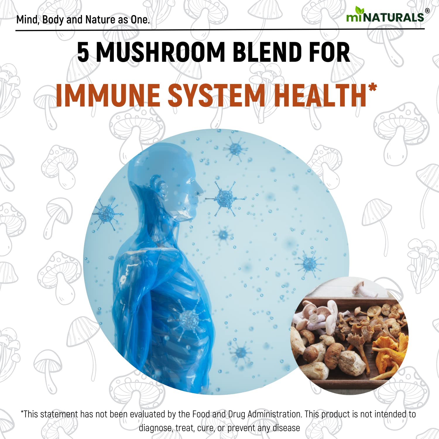 mushroom capsules for daily vitality