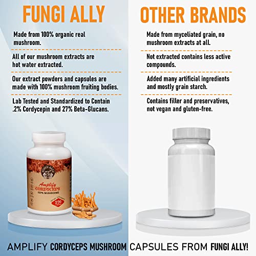 mushroom capsules for daily vitality