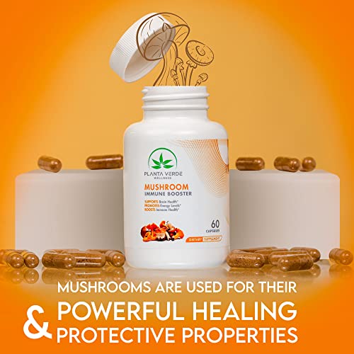 Mushroom capsules for daily vitality