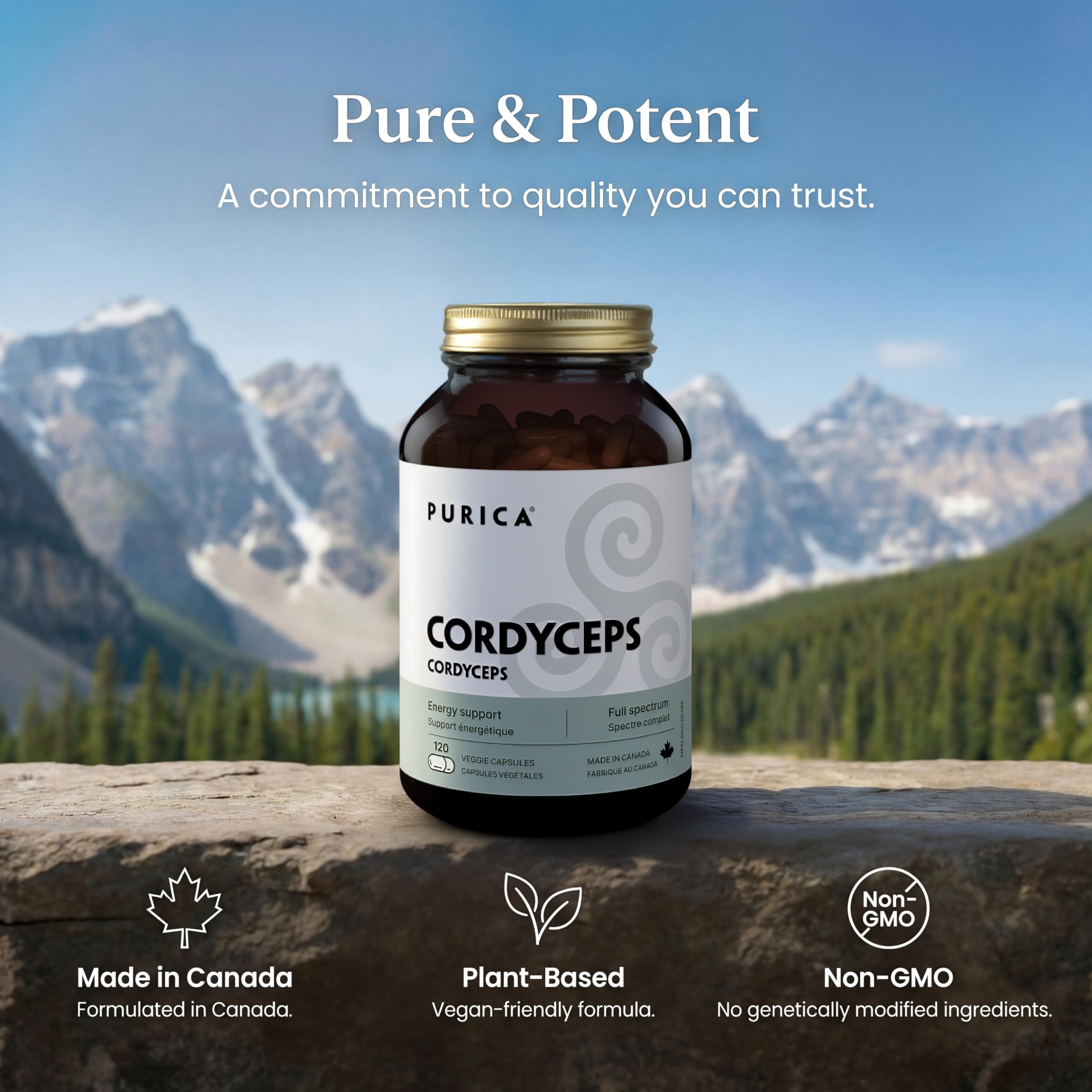 mushroom capsules for daily vitality
