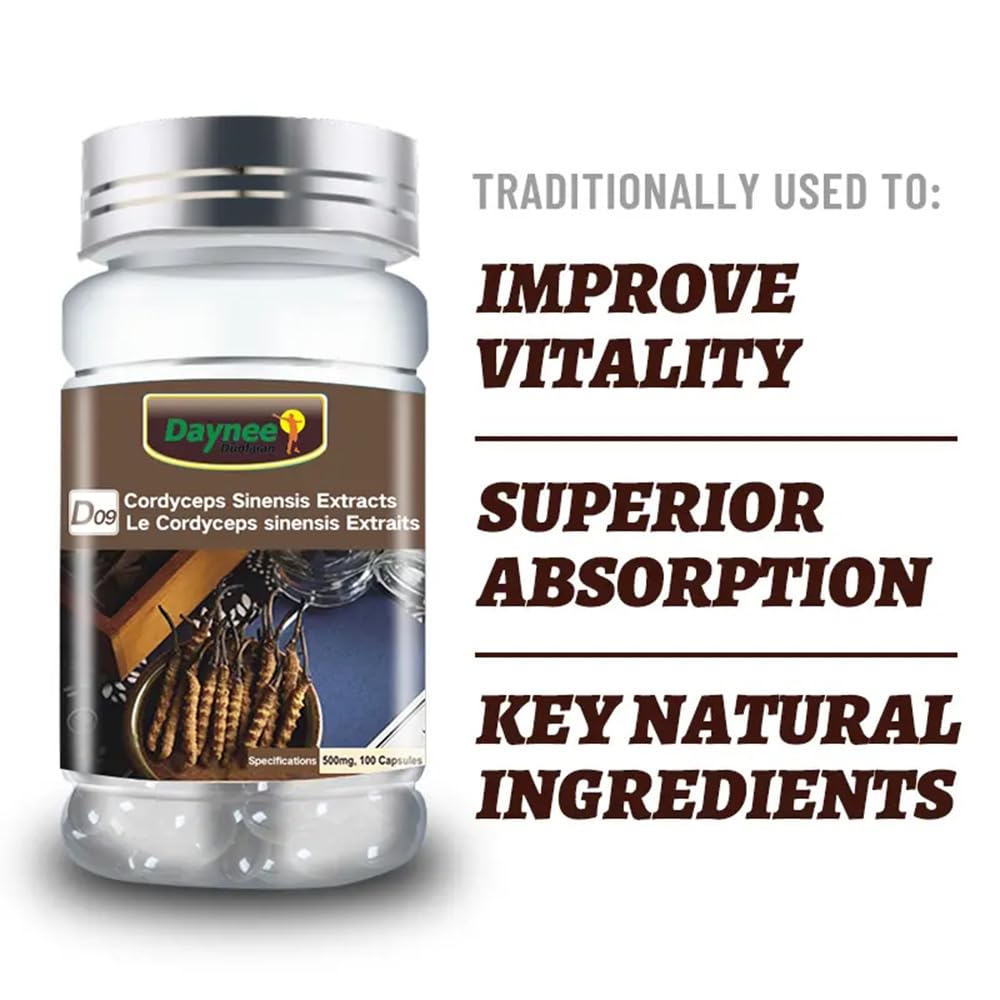 mushroom capsules for daily wellness