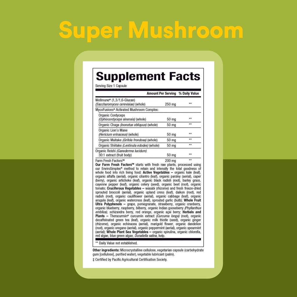 mushroom capsules for daily wellness