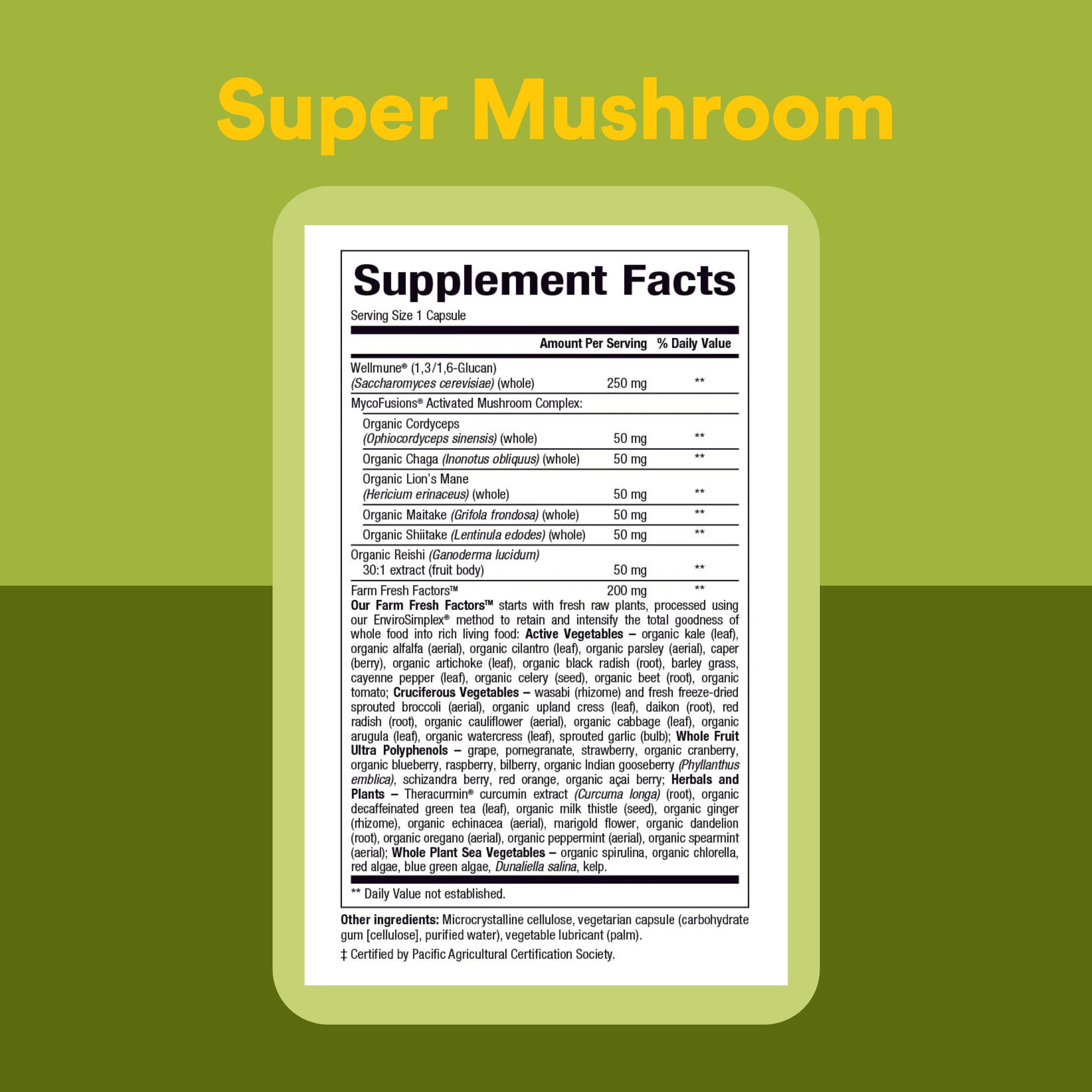 mushroom capsules for daily wellness