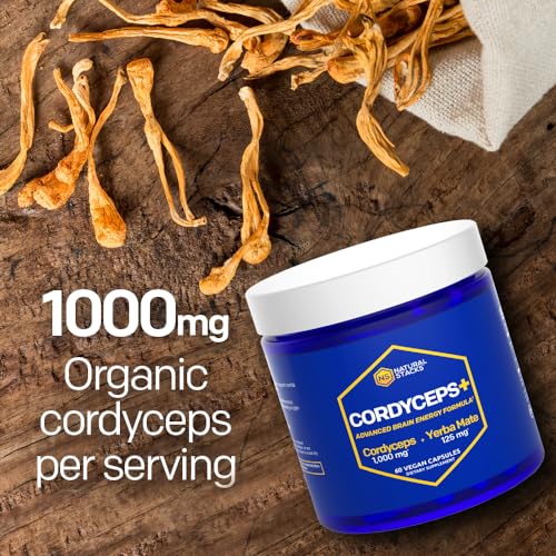 Mushroom capsules for daily wellness