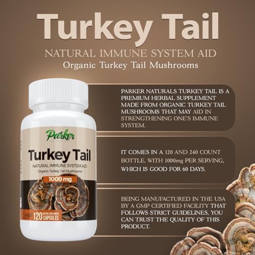 mushroom capsules for daily wellness