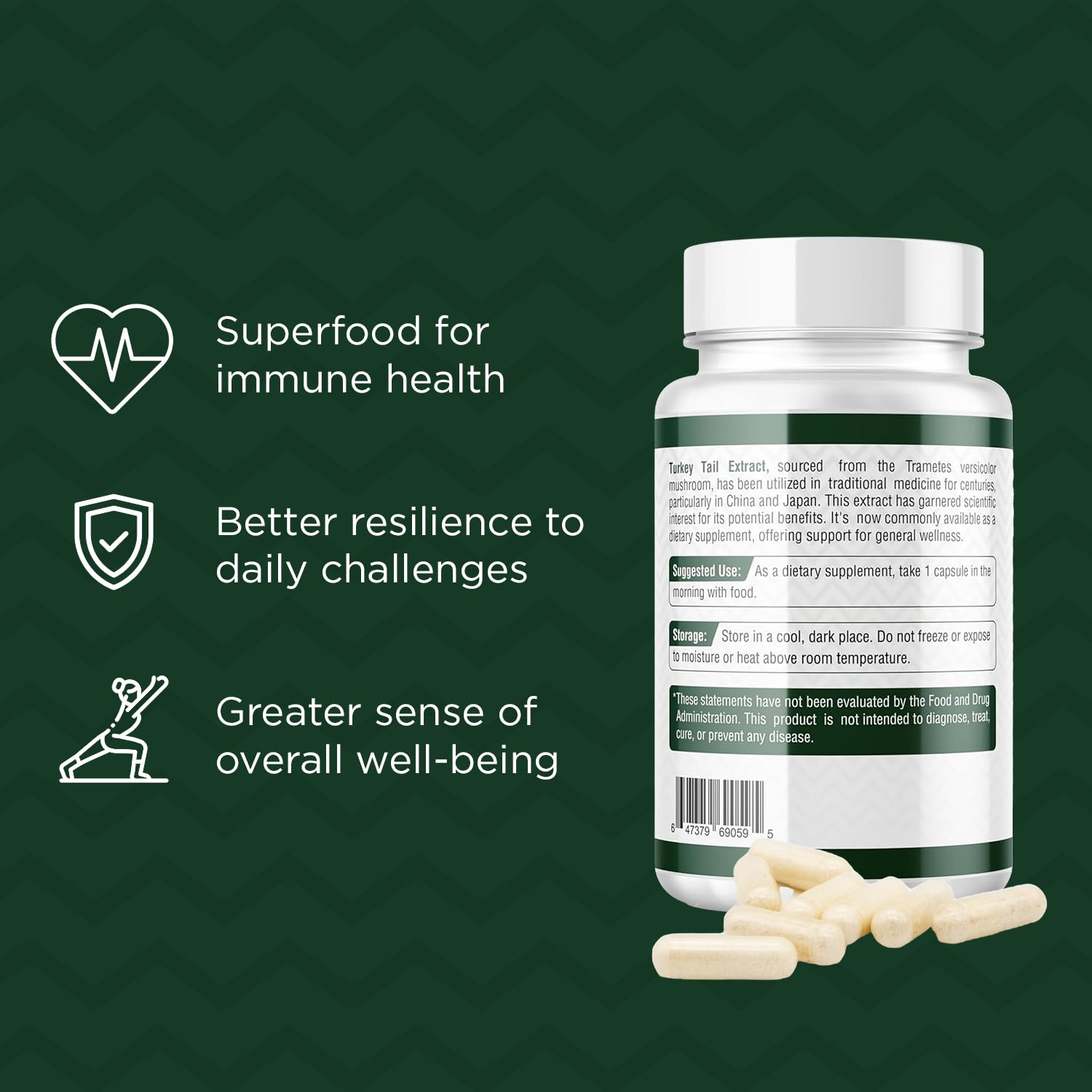 Mushroom capsules for daily wellness