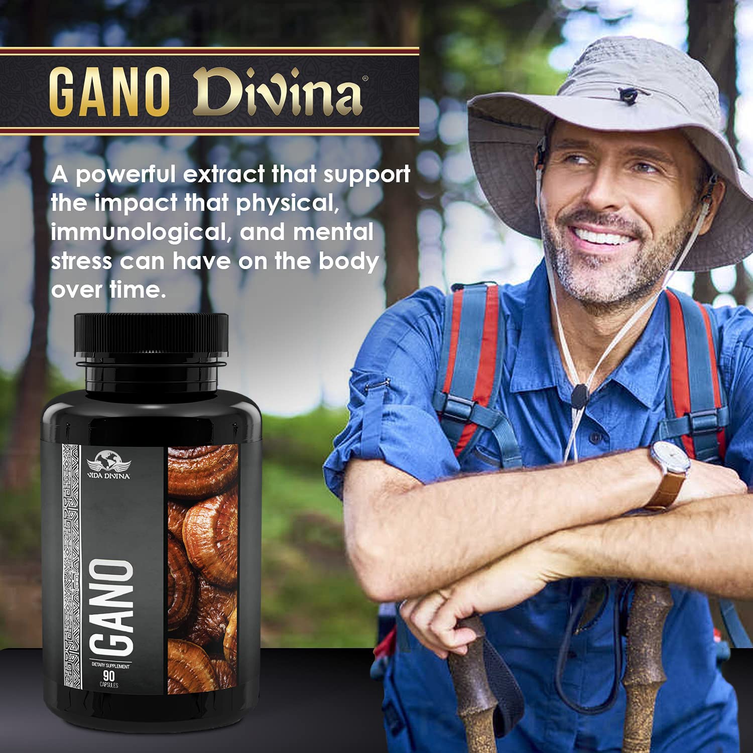 mushroom capsules for daily wellness