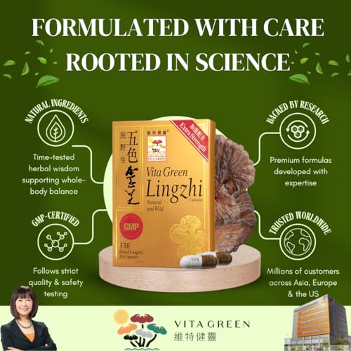 mushroom capsules for daily wellness