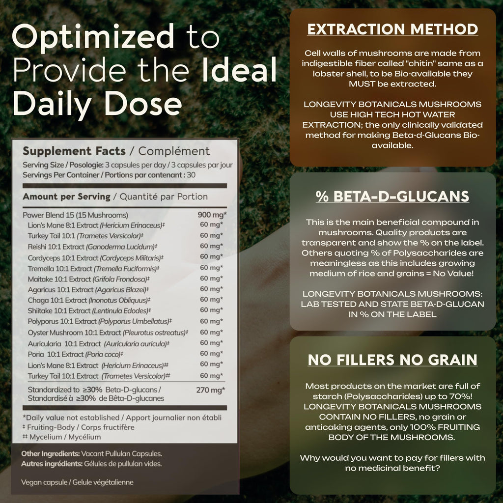 Mushroom capsules for digestive health