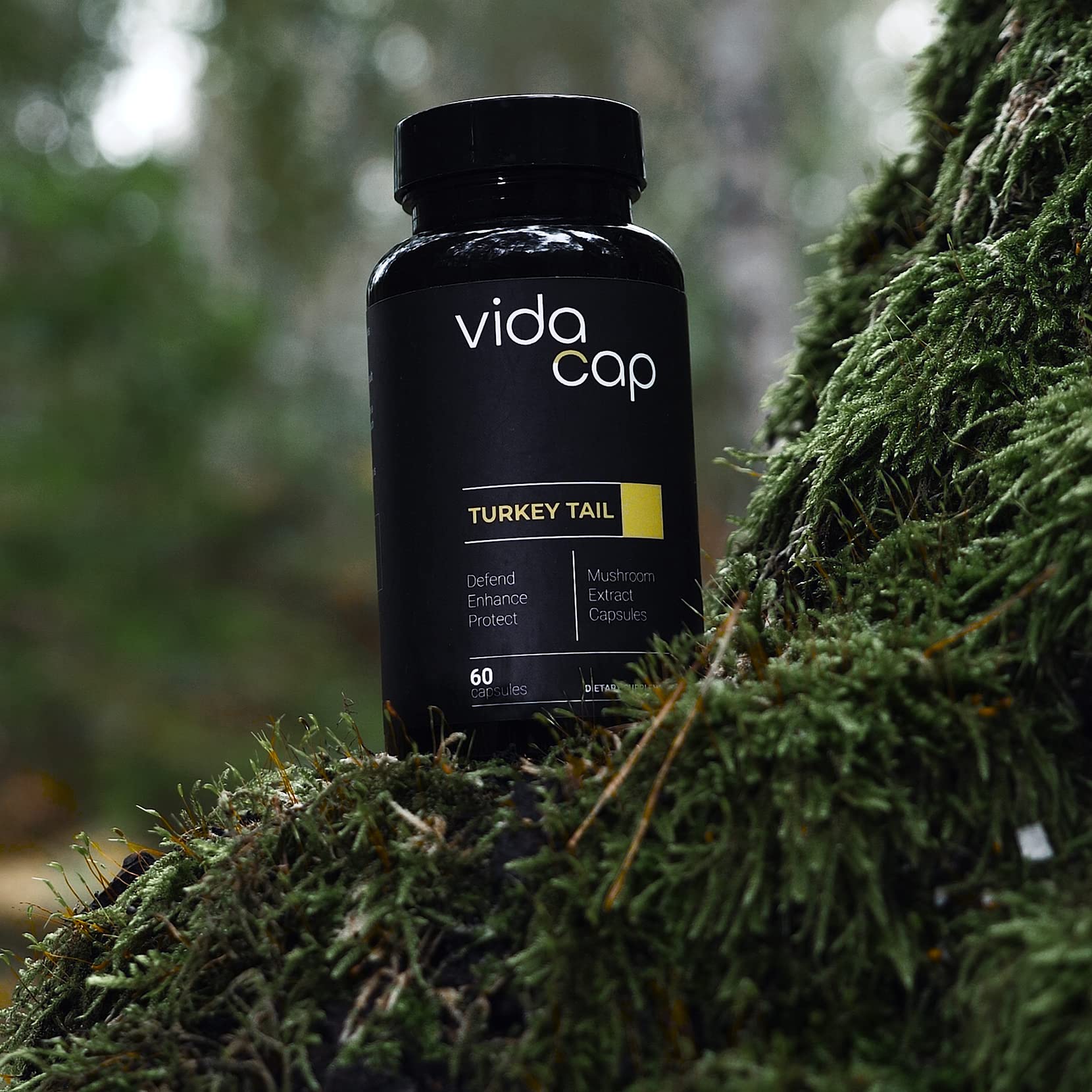 Mushroom capsules for digestive wellness
