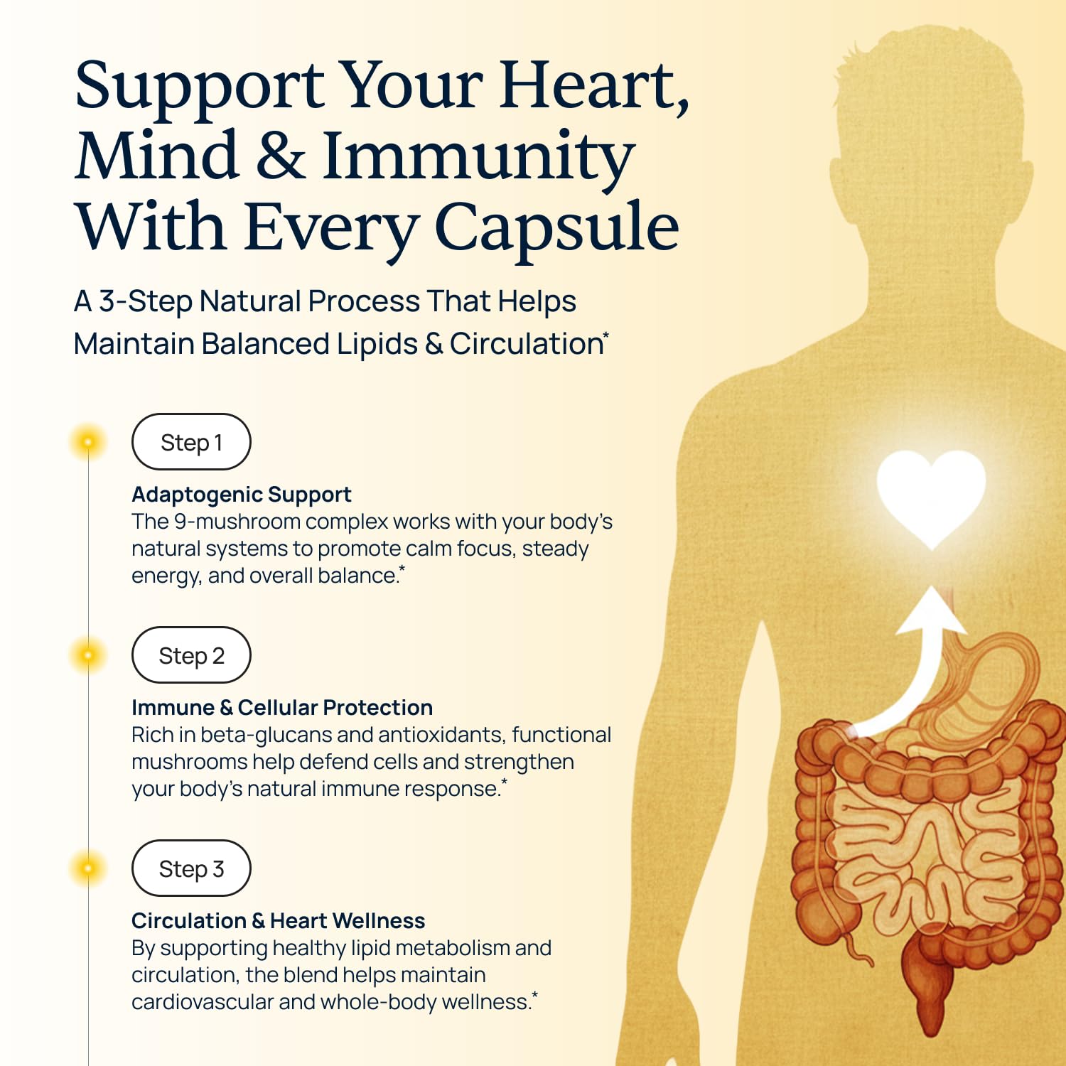Mushroom capsules for easy routine