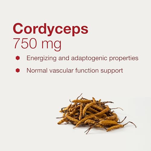 Mushroom capsules for energy and endurance