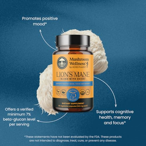 mushroom capsules for energy boost