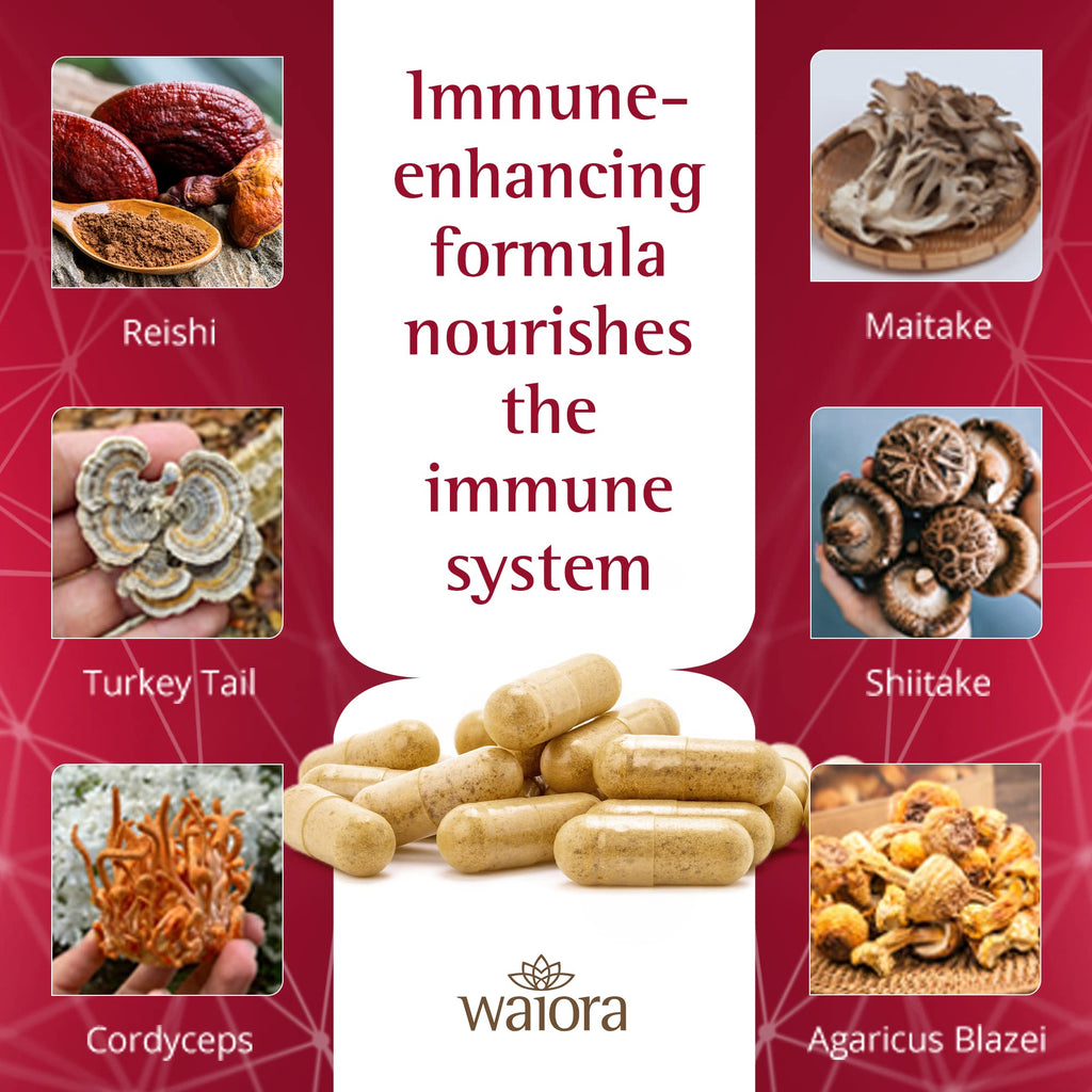 Mushroom capsules for energy boost