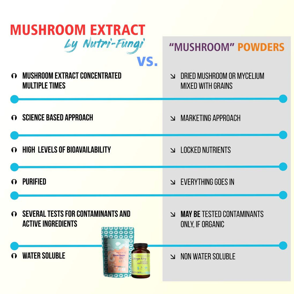 mushroom capsules for energy boost