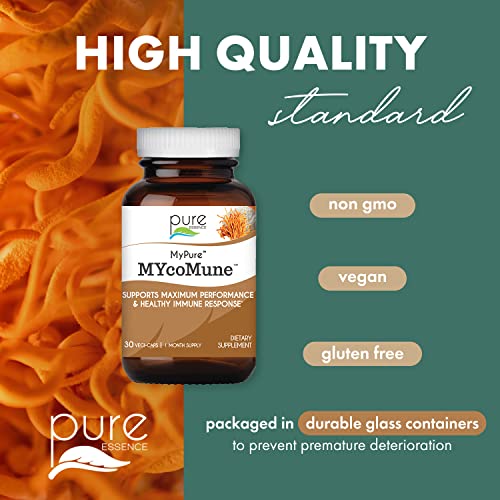 mushroom capsules for enhanced focus