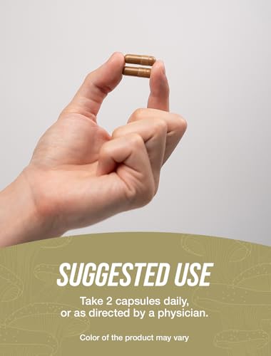 Mushroom capsules for enhanced focus