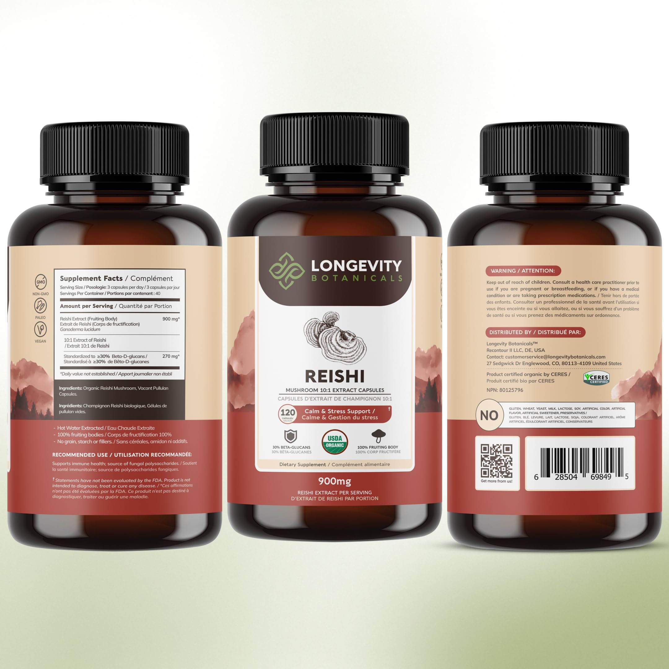 mushroom capsules for enhanced well-being