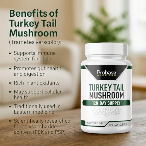 Mushroom capsules for everyday health