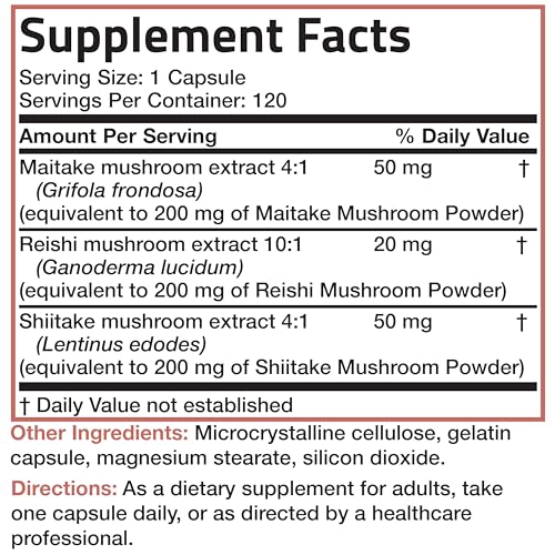 mushroom capsules for everyday wellness