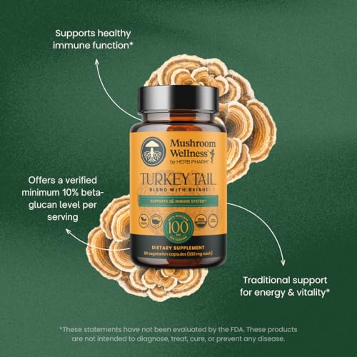 mushroom capsules for everyday wellness