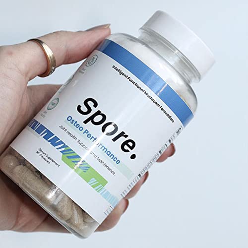 mushroom capsules for everyday wellness