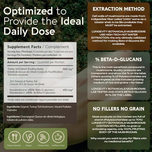 mushroom capsules for gut health