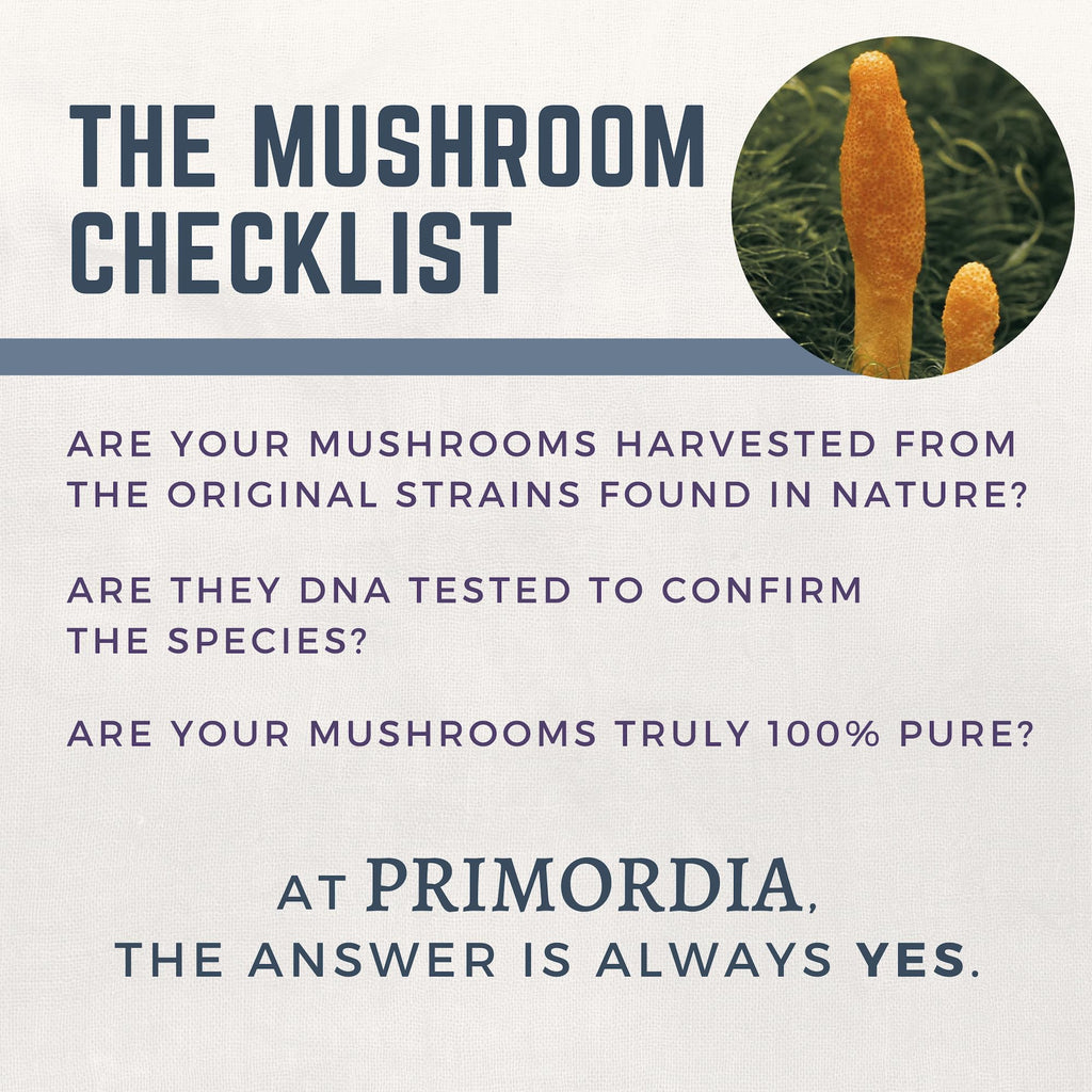 Mushroom capsules for holistic health