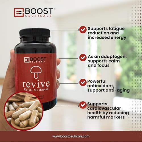 Mushroom capsules for holistic health