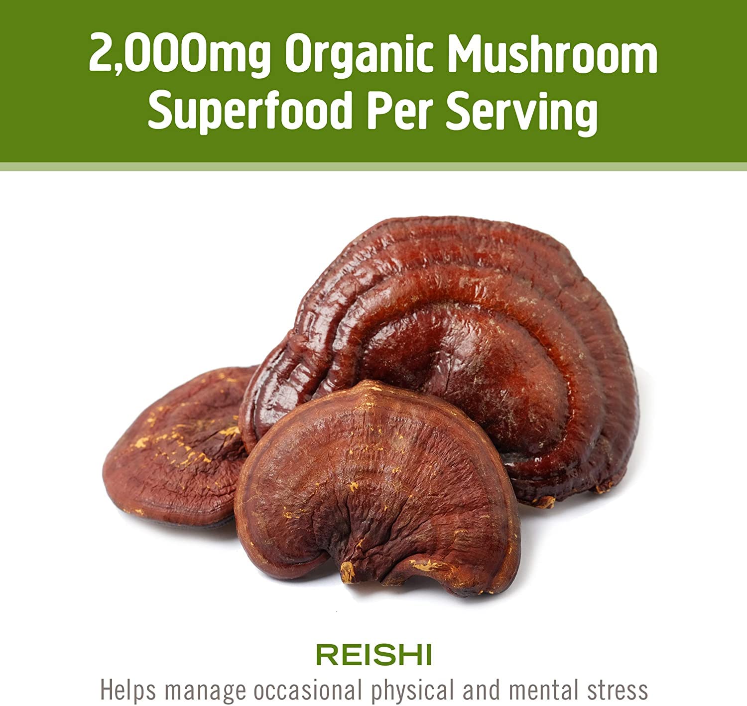 mushroom capsules for holistic health