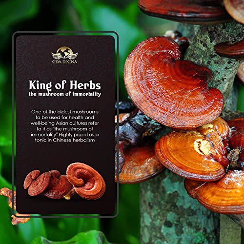 mushroom capsules for holistic living