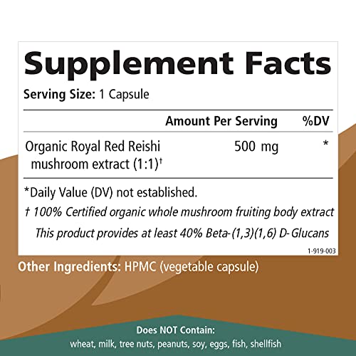 mushroom capsules for holistic wellness