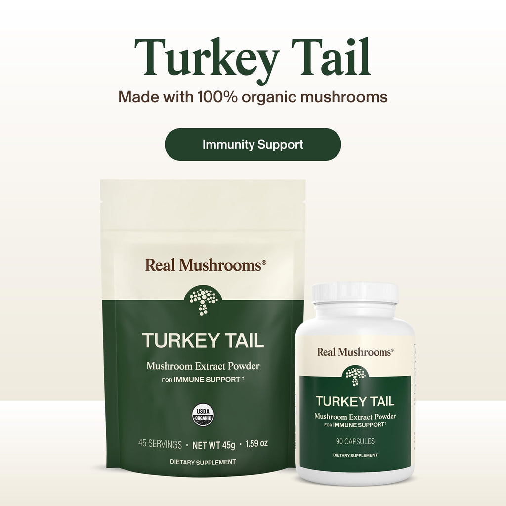 mushroom capsules for immune boost